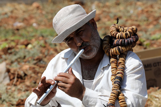 Palestinian Farmer Lutfi Hamed Plays Flute Editorial Stock Photo ...