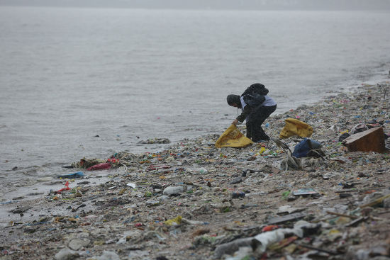 Filipino Volunteer Collects Garbage During International Editorial ...