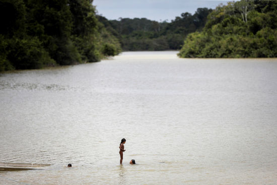 Indigenous Children Swim Bacaja River Indigenous Editorial Stock Photo ...