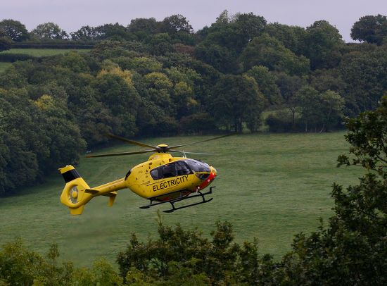 Tree Top Flying Skills Being Demonstrated Editorial Stock Photo - Stock ...