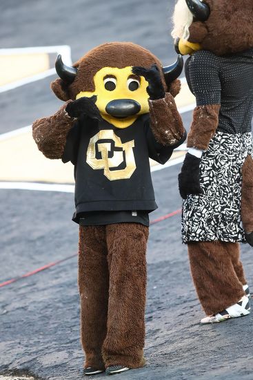 Colorado Buffaloes Mascot Chip Performs Second Editorial Stock Photo ...