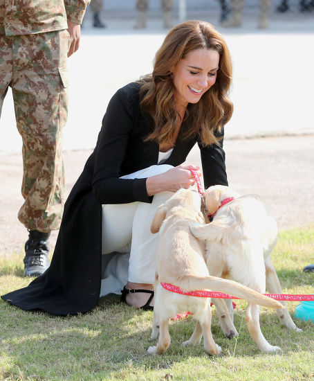 Catherine Duchess Cambridge Golden Labrador Puppies Editorial Stock ...