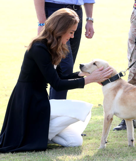 Catherine Duchess Cambridge Golden Labrador Puppy Editorial Stock Photo ...