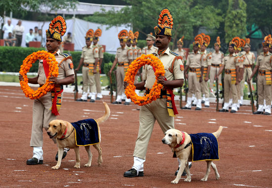 Madhya Pradesh Police Officers Prepares Lay Editorial Stock Photo ...