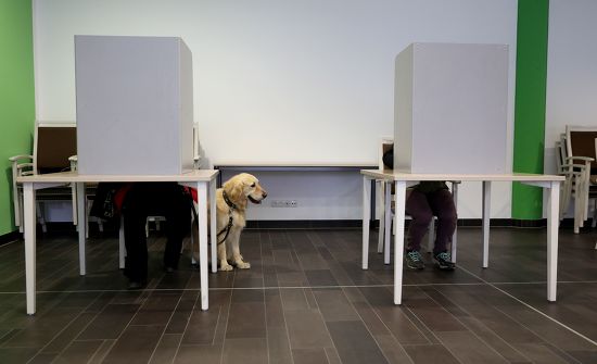 Dog Watches Voter Ballot Box During Editorial Stock Photo - Stock Image ...