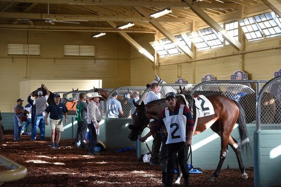 Santa Anita Scene Saddling Stalls California Editorial Stock Photo ...