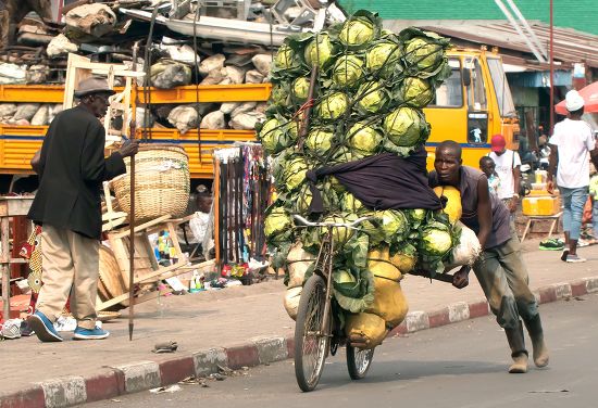 Transporting Cabbages Market On Bike Editorial Stock Photo - Stock ...