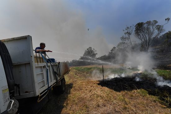 Tinonee Resident Brian Acheson Set His Editorial Stock Photo - Stock ...