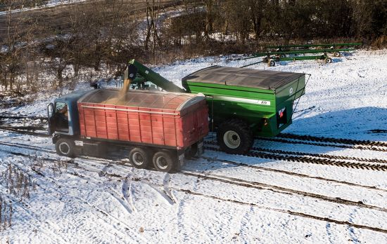 Aerial Photo Made Drone Shows Soybeans Editorial Stock Photo - Stock ...