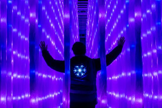 30metrelong Promenade Led Vines 8000 Individual Editorial Stock Photo ...
