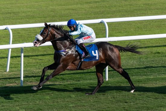 Shajer Under Andrew Elliot Wins 1600m Editorial Stock Photo - Stock ...