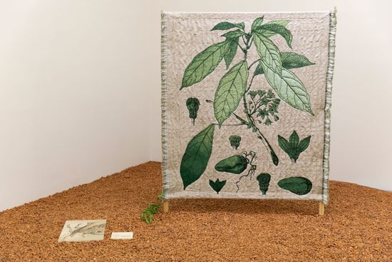 Mixed Media Installation Titled Taste Stone Editorial Stock Photo ...