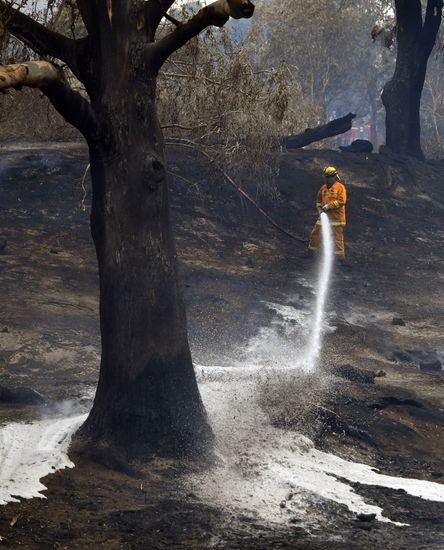 Country Fire Authority Cfa Firefighter Work Editorial Stock Photo ...
