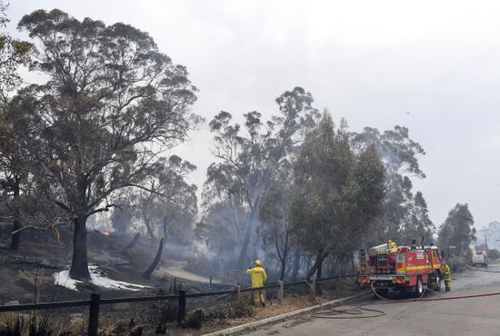 Country Fire Authority Cfa Firefighters Action Editorial Stock Photo ...