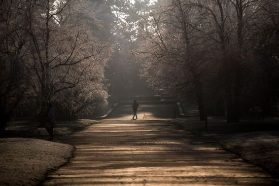 Man Walks Letna Plain On Foggy Editorial Stock Photo - Stock Image ...