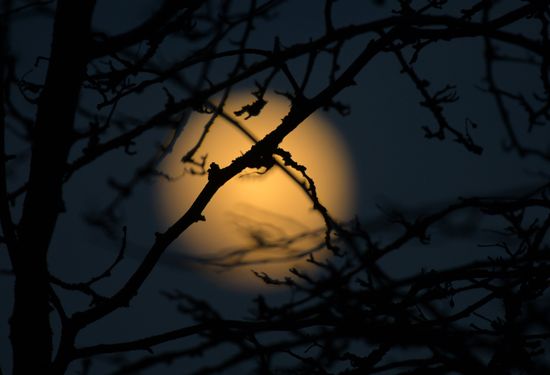 First Full Moon 2020 Wolf Moon Editorial Stock Photo - Stock Image ...