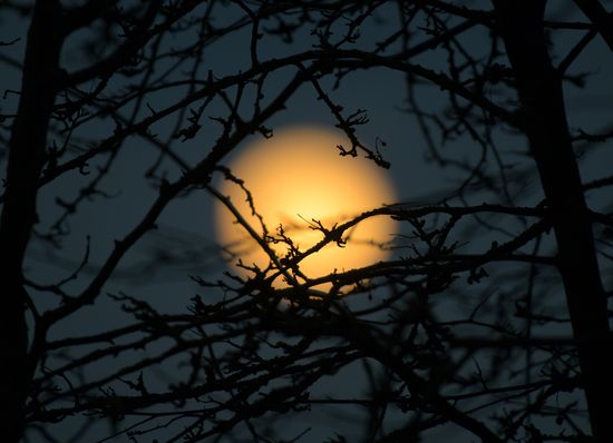 First Full Moon 2020 Wolf Moon Editorial Stock Photo - Stock Image ...