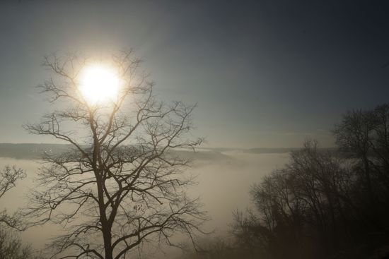 View Foggy Valley Meuse Maas River Editorial Stock Photo - Stock Image ...