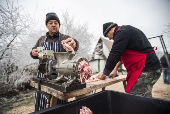 Butcher Minces Pork Cuts Slaughtered Domestic Editorial Stock Photo ...