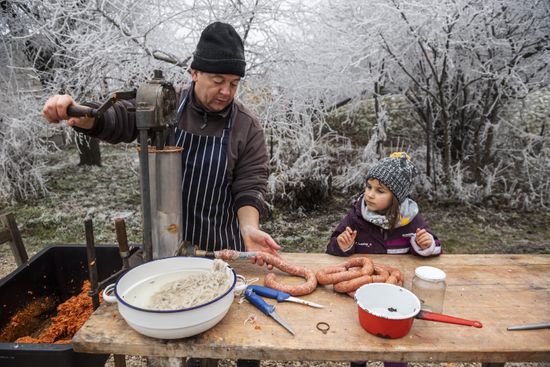 Butcher Fills Intestines Sausage Meat Slaughtered Editorial Stock Photo ...