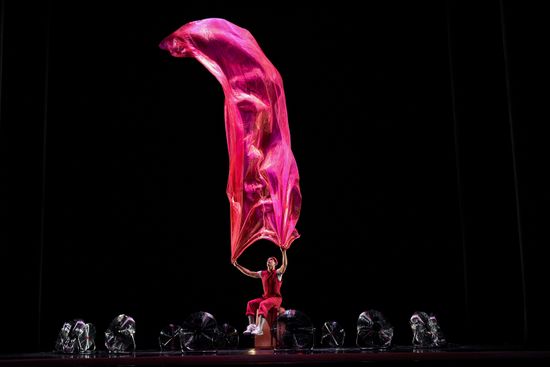 Us Circus Performer Seth Bloom Collaboration Editorial Stock Photo ...