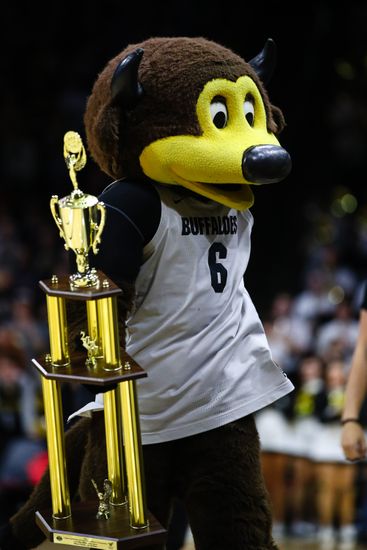 Colorado Mascot Chip Buffalo Shows Off Editorial Stock Photo - Stock ...