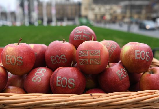 Red Viking Apples Union Jack Displayed Editorial Stock Photo - Stock ...