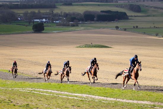 Early Morning Gallops Nicky Hendersons Seven Editorial Stock Photo ...