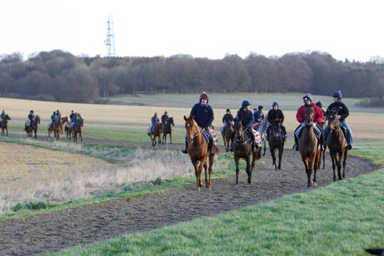 Early Morning Gallops Nicky Hendersons Seven Editorial Stock Photo ...