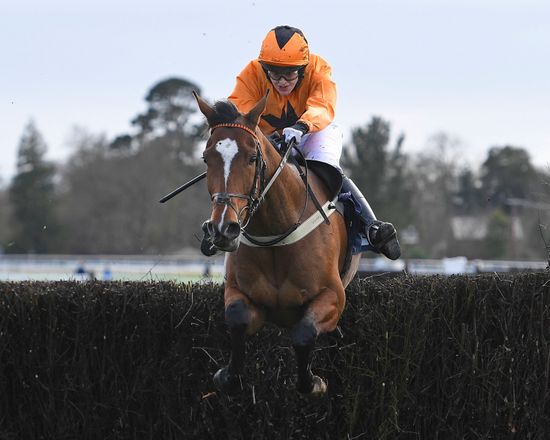 Foxpro Ridden By Lizzie Kelly Trained Editorial Stock Photo - Stock Image | Shutterstock