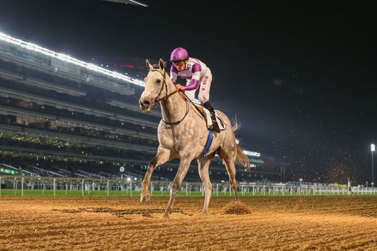 Parsimony Usa William Buick Curlin Stakes Editorial Stock Photo - Stock ...