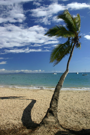 Beach Scene Madagascar Editorial Stock Photo - Stock Image | Shutterstock
