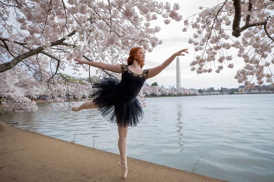 Tutuwearing Ballet Dancer Abby Thompson Burke Editorial Stock Photo ...