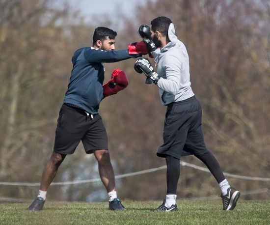 Two Men Boxing Regents Park London Editorial Stock Photo - Stock Image ...