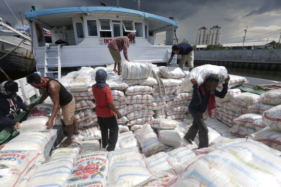Workers Loading Sacks Rice Onto Traditional Editorial Stock Photo ...