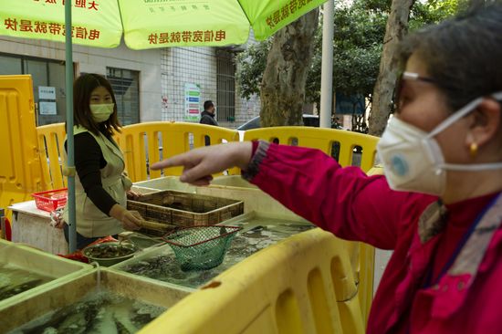 Woman Buys Fish Wuhan Capital Central Editorial Stock Photo - Stock ...