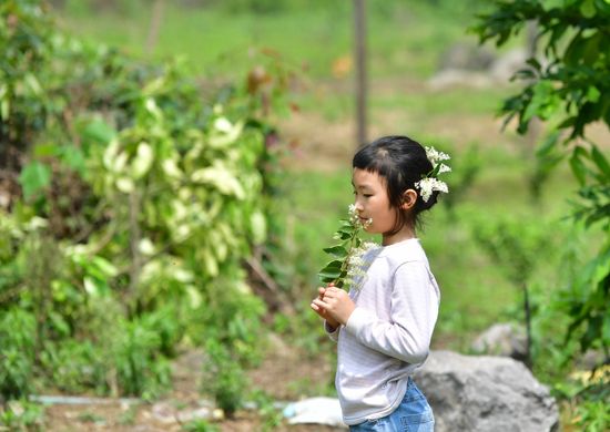 Pan Yuxin Daughter Pan Wenming Plays Editorial Stock Photo - Stock ...