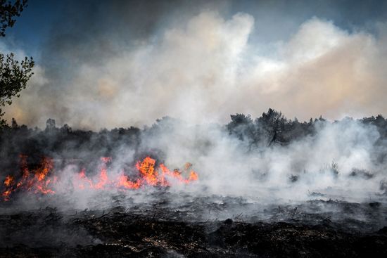 Meadows Burn During Forest Fire National Editorial Stock Photo - Stock ...