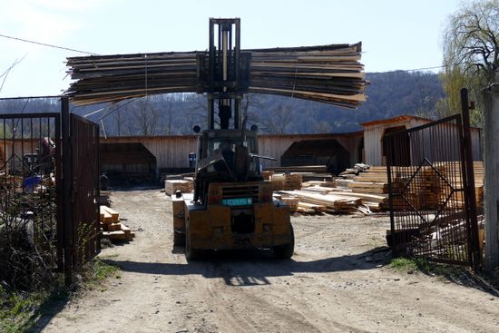 Forklift Loader Transports Planks Woodworking Enterprise Editorial ...