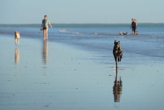 Locals Gunn Point Beach On Outskirts Editorial Stock Photo - Stock ...