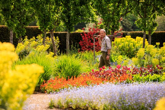 Head Gardener Richard Burnip Pictured Amongst Editorial Stock Photo ...
