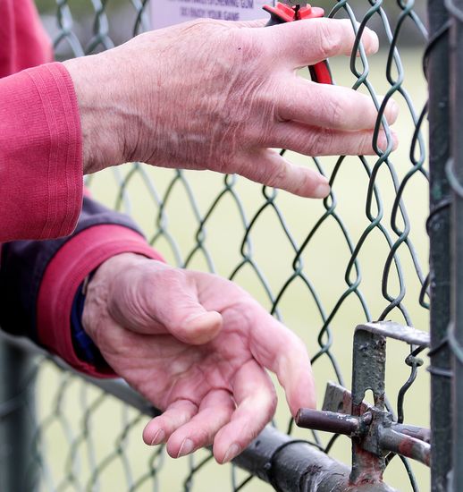 Club Groundsman Michael Relihan Opens Gate Editorial Stock Photo ...