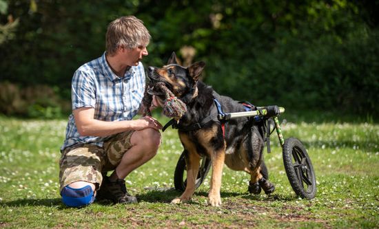 Vinnie His Owner Dave Harfield Retired Editorial Stock Photo - Stock ...