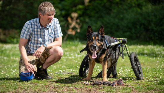 Vinnie His Owner Dave Harfield Retired Editorial Stock Photo - Stock ...