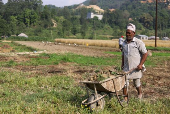 Nepalese Framer Pushing Wheelbarrow Full Soil Editorial Stock Photo ...