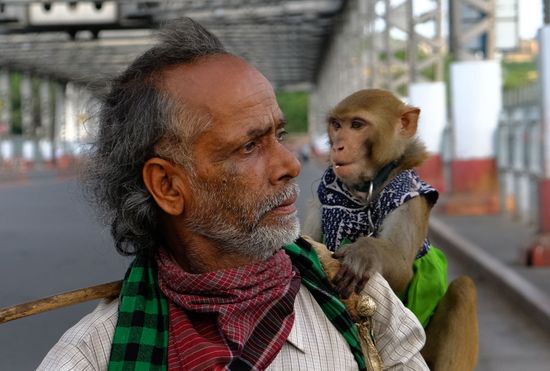 Md Salauddin Traditional Monkey Charmer Walks Editorial Stock Photo ...