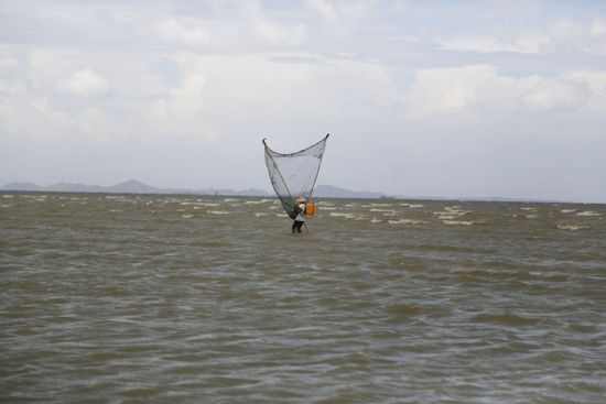 Fisherman Casts Their Net Catch Fish Editorial Stock Photo - Stock ...