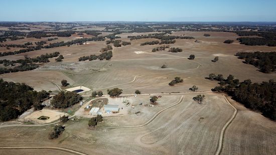 Mixed Grains Farm Wheatbelt Region Near Editorial Stock Photo - Stock ...