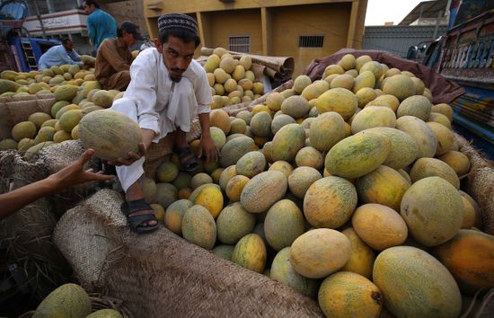 Pakistani Laborer Transports Melons Market Karachi Editorial Stock ...