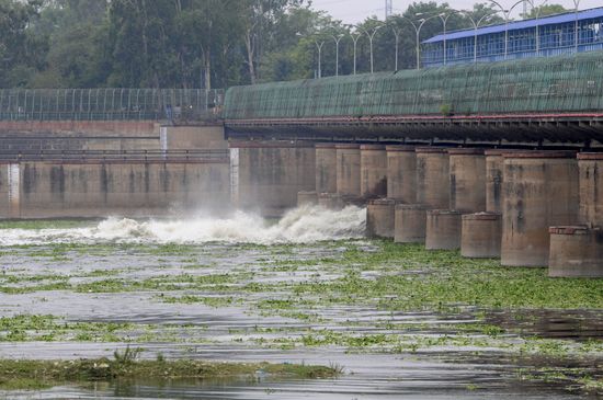 Water Released Into River Yamuna Okhla Editorial Stock Photo - Stock ...